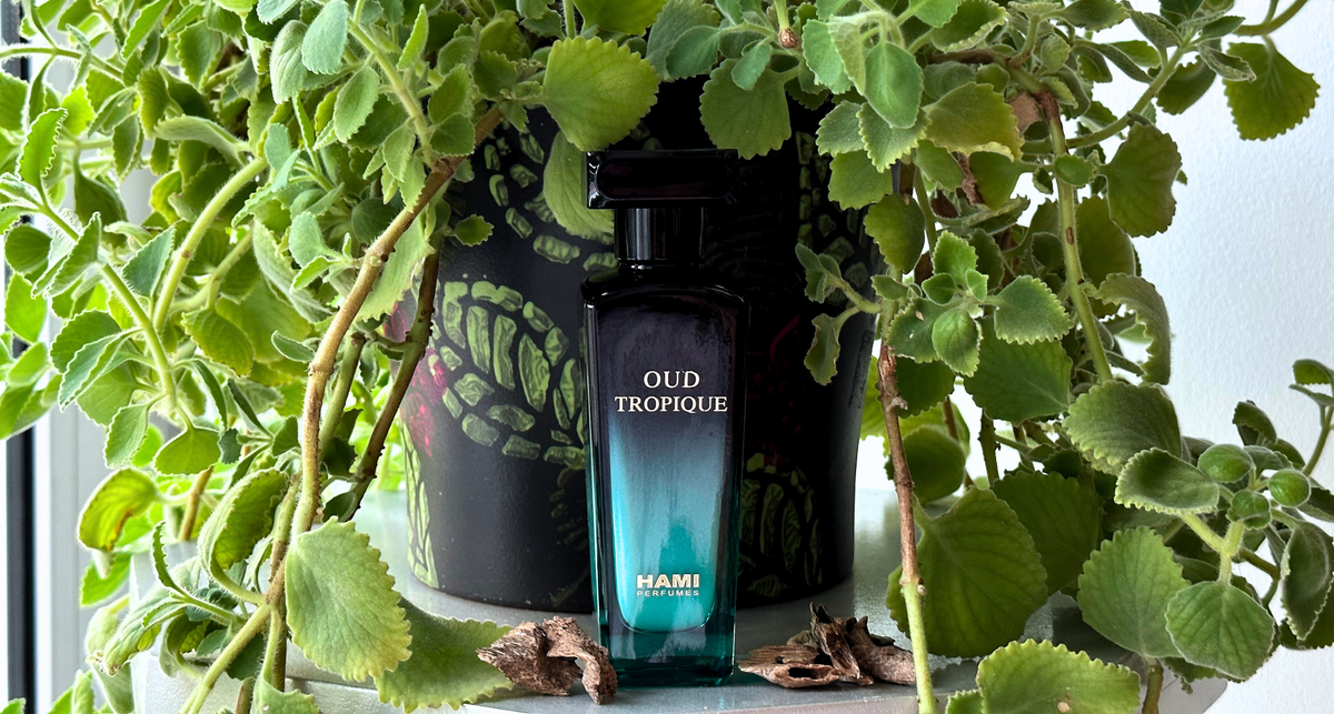 Hami Perfumes Now Shop Online